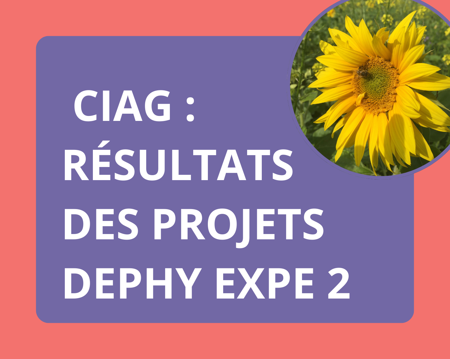 CIAG : Résultats des projets DEPHY EXPE 2 | Ecophytopic